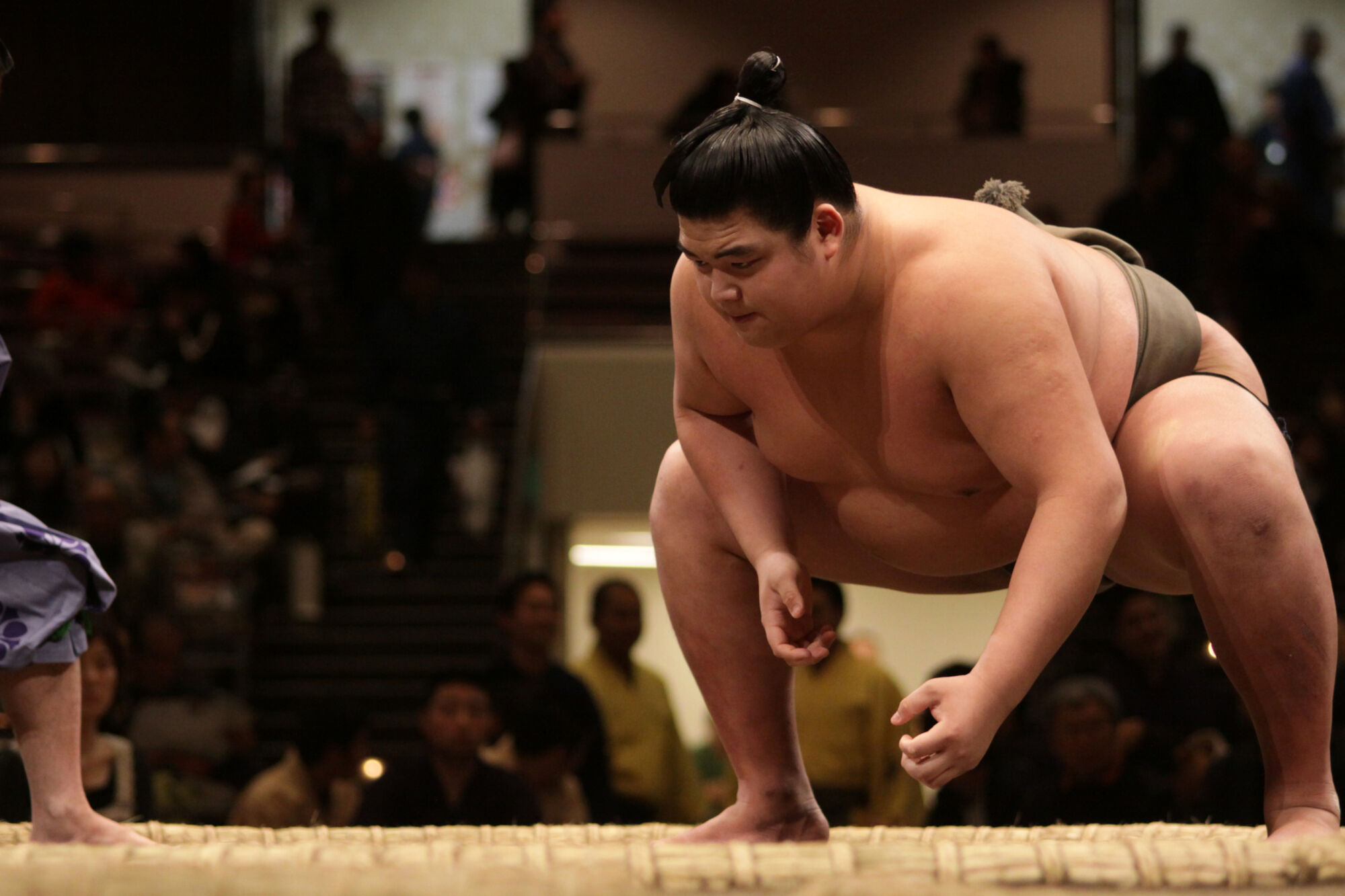 Sumobrottare – mer vältränade än du tror